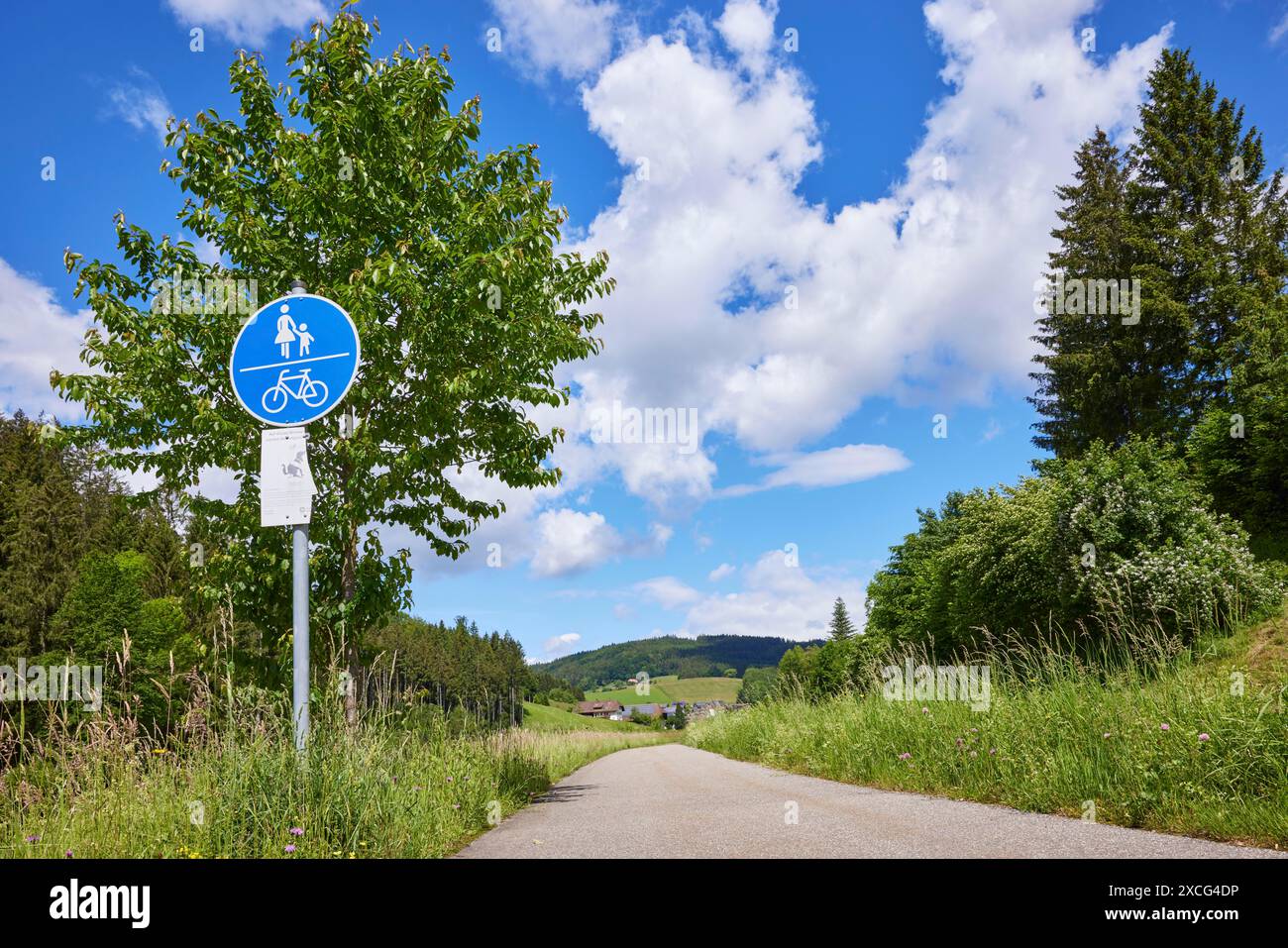 Cycle path with traffic sign for combined footpath and cycle path ...