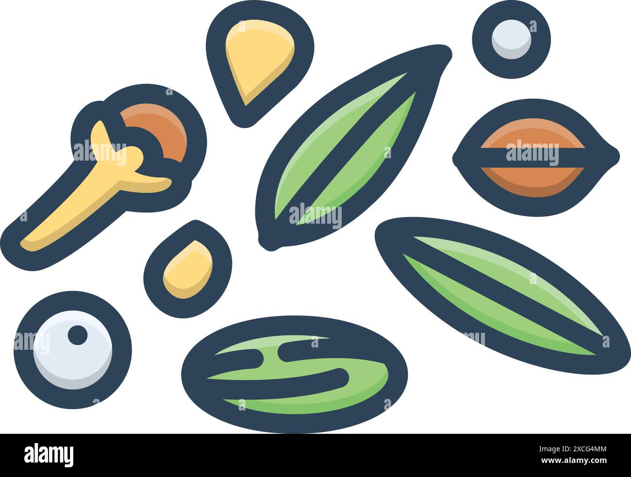 Panch phoron hi-res stock photography and images - Alamy