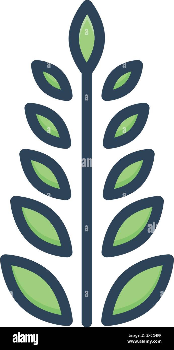 Curry tree leaf Stock Vector Images - Alamy