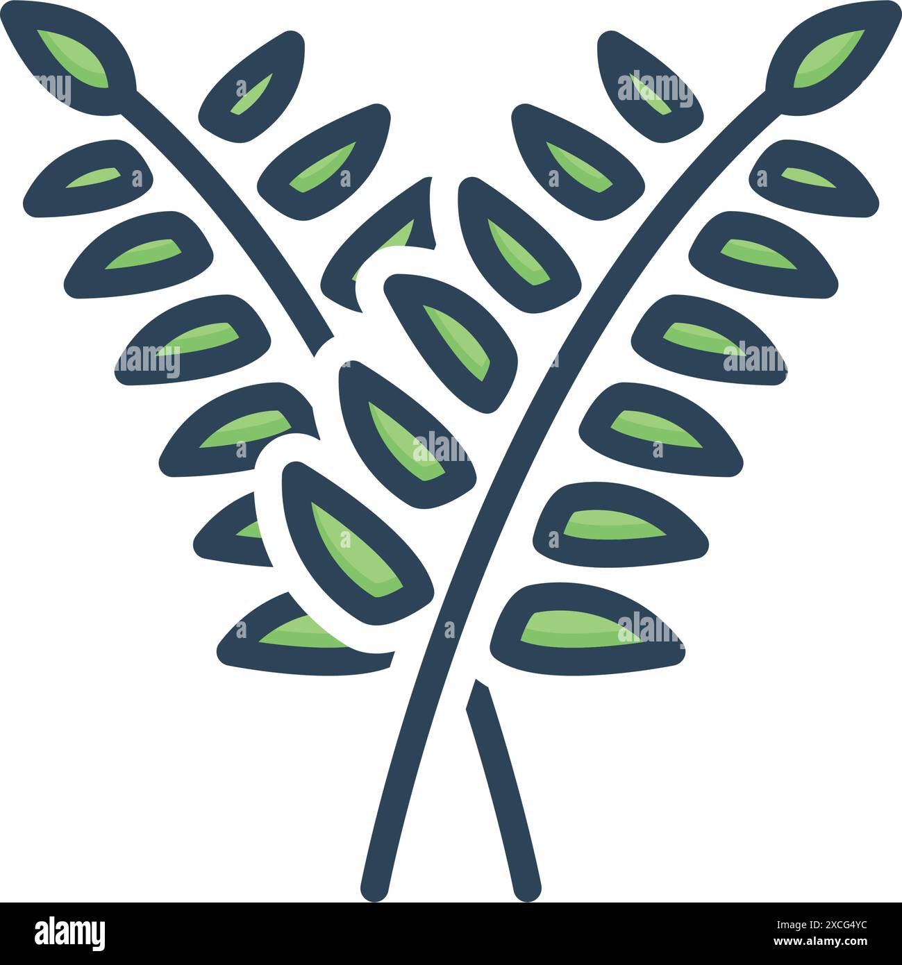 Curry leaves vector vectors hi-res stock photography and images - Alamy