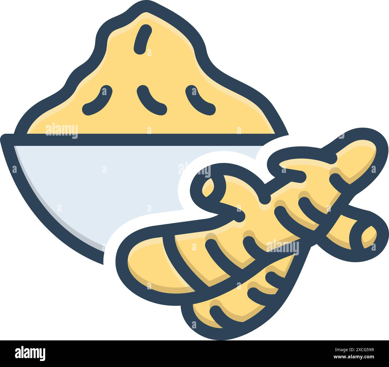 Curcuma longa illustration Stock Vector Images - Alamy