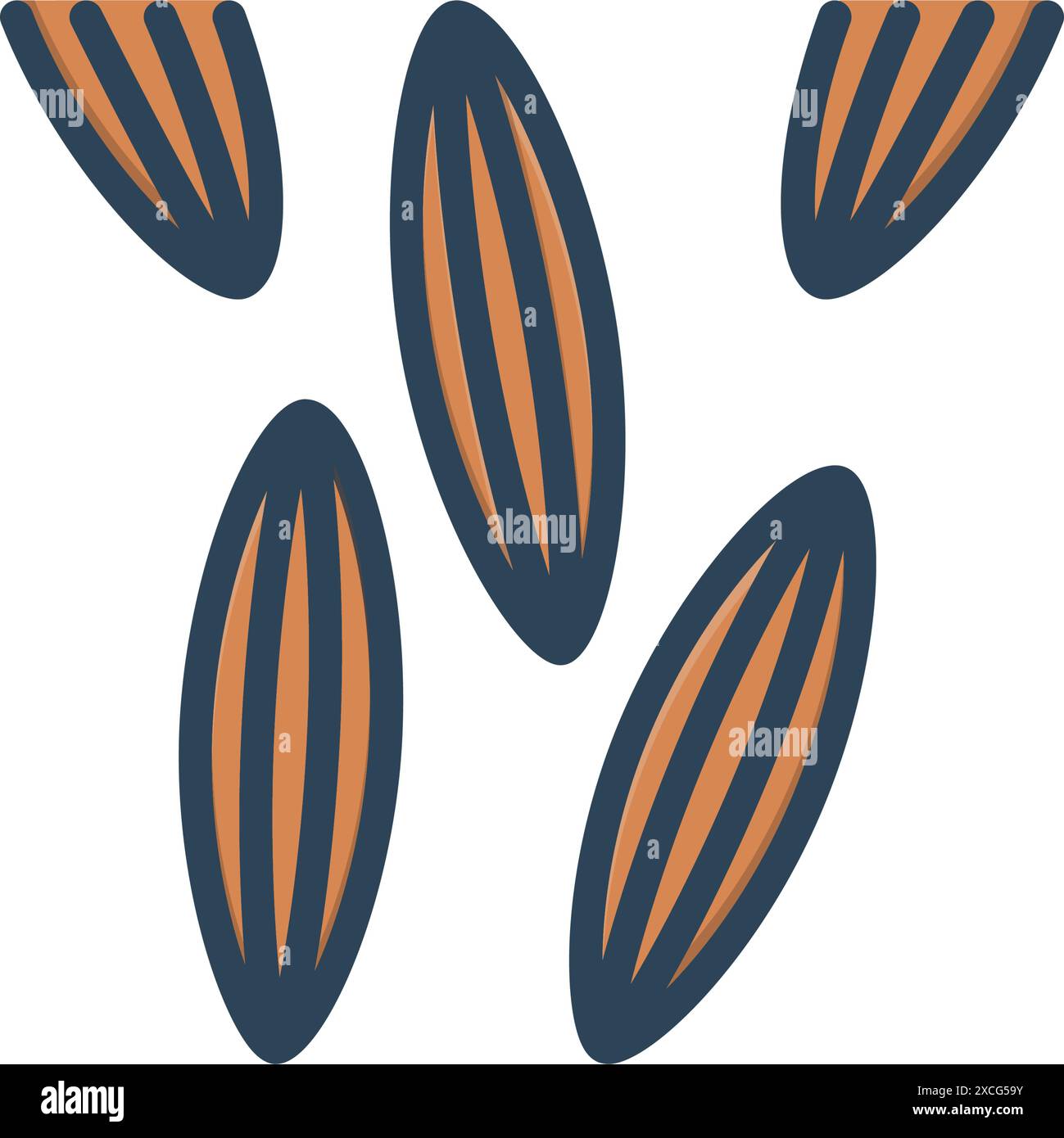 Icon for cumin,cumin seed Stock Vector Image & Art - Alamy