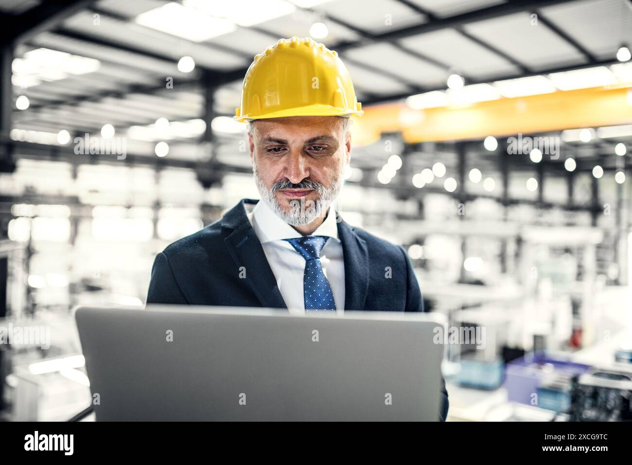 Portrait of project manager standing in modern industrial factory ...