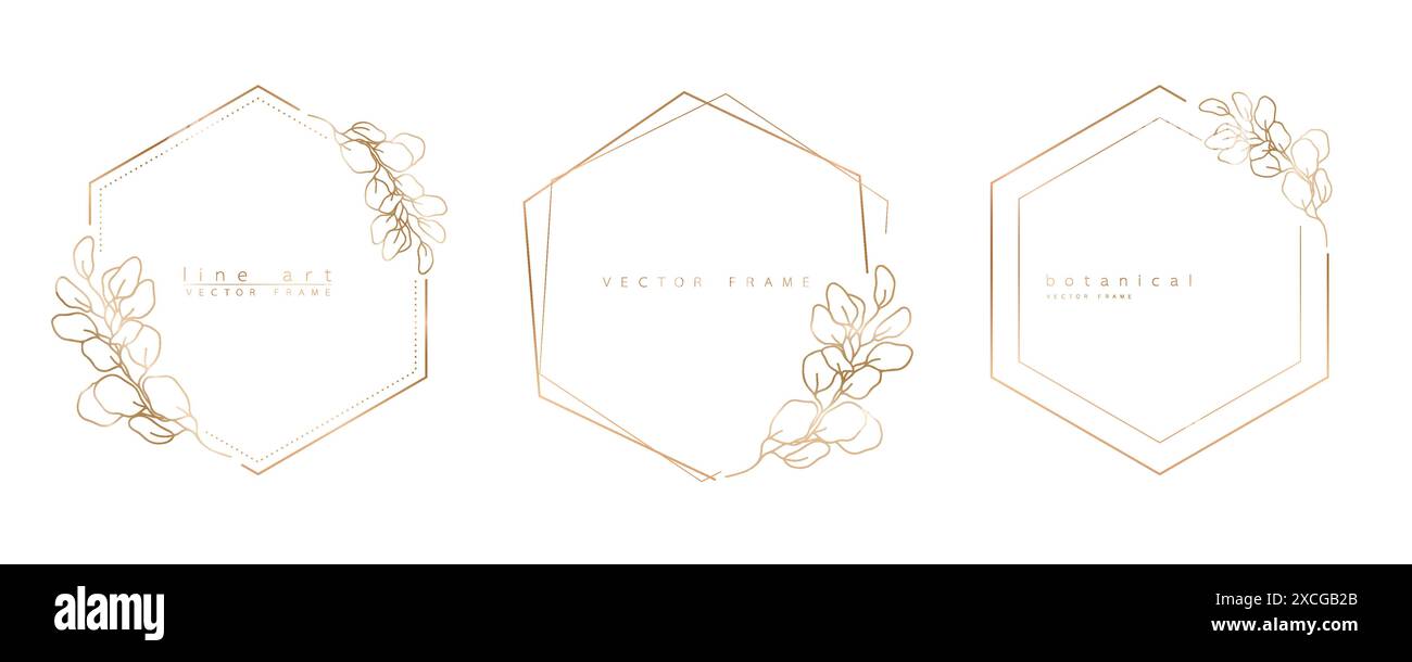 Set of hexagon frame templates in minimal linear style Stock Vector ...