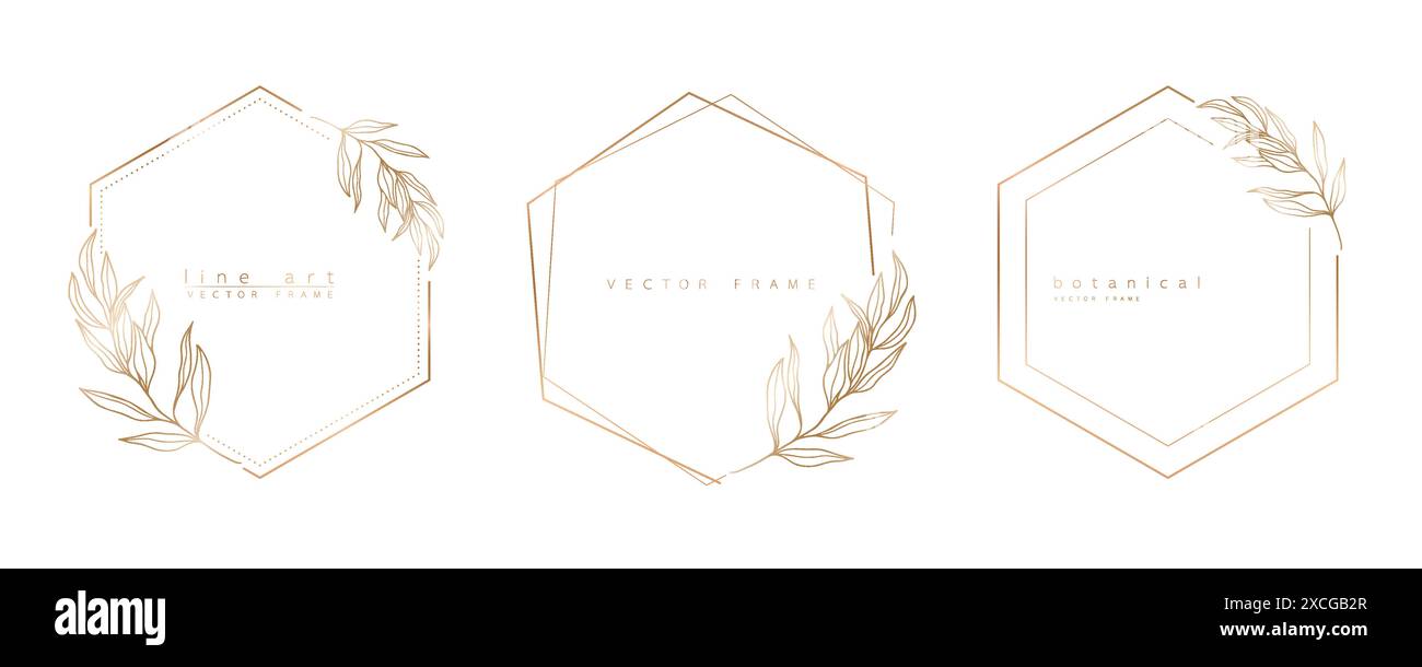Set of hexagon frame templates in minimal linear style Stock Vector ...