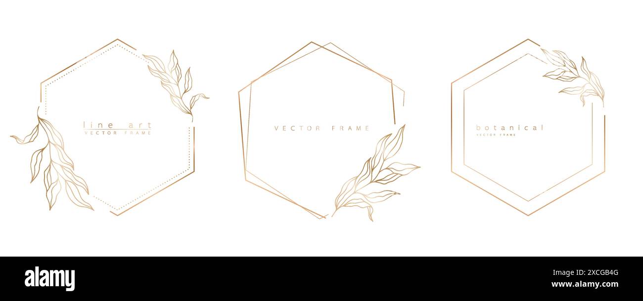 Set of hexagon frame templates in minimal linear style Stock Vector ...