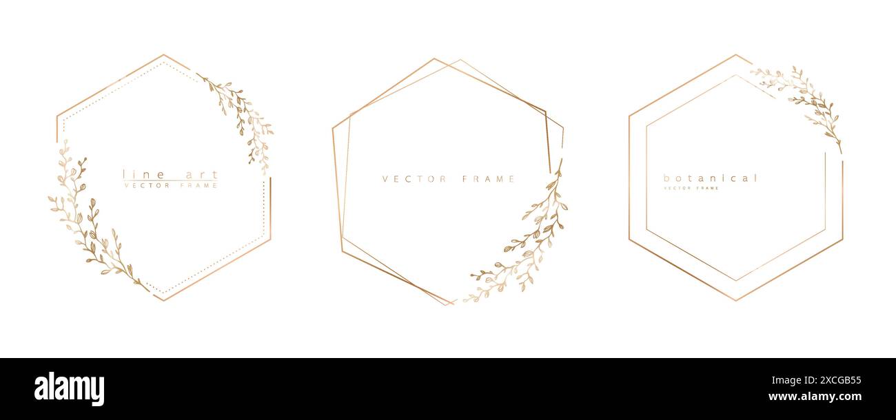 Set of hexagon frame templates in minimal linear style Stock Vector ...