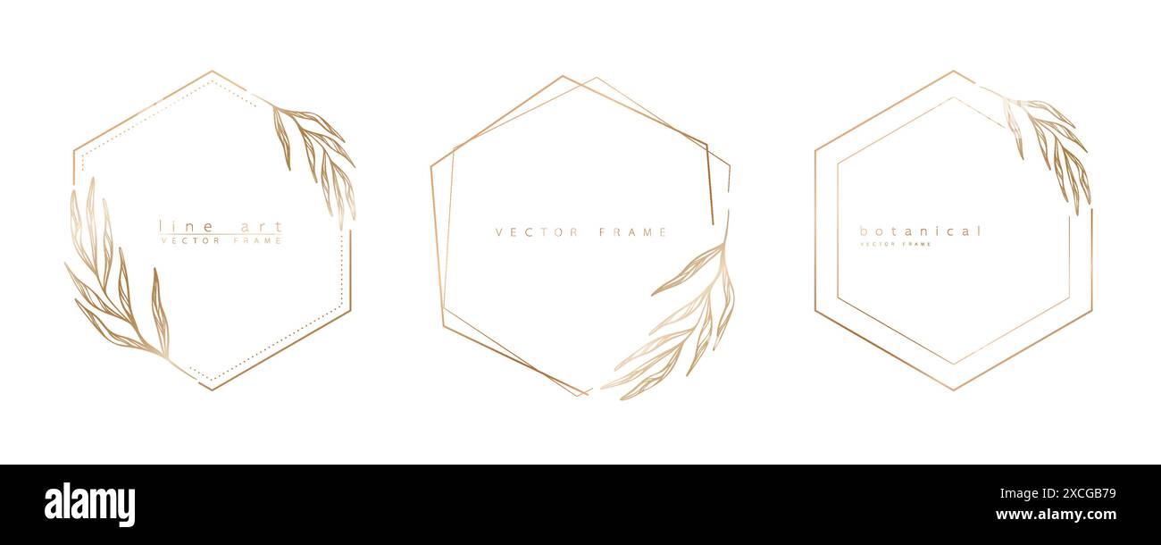 Set of hexagon frame templates in minimal linear style Stock Vector ...