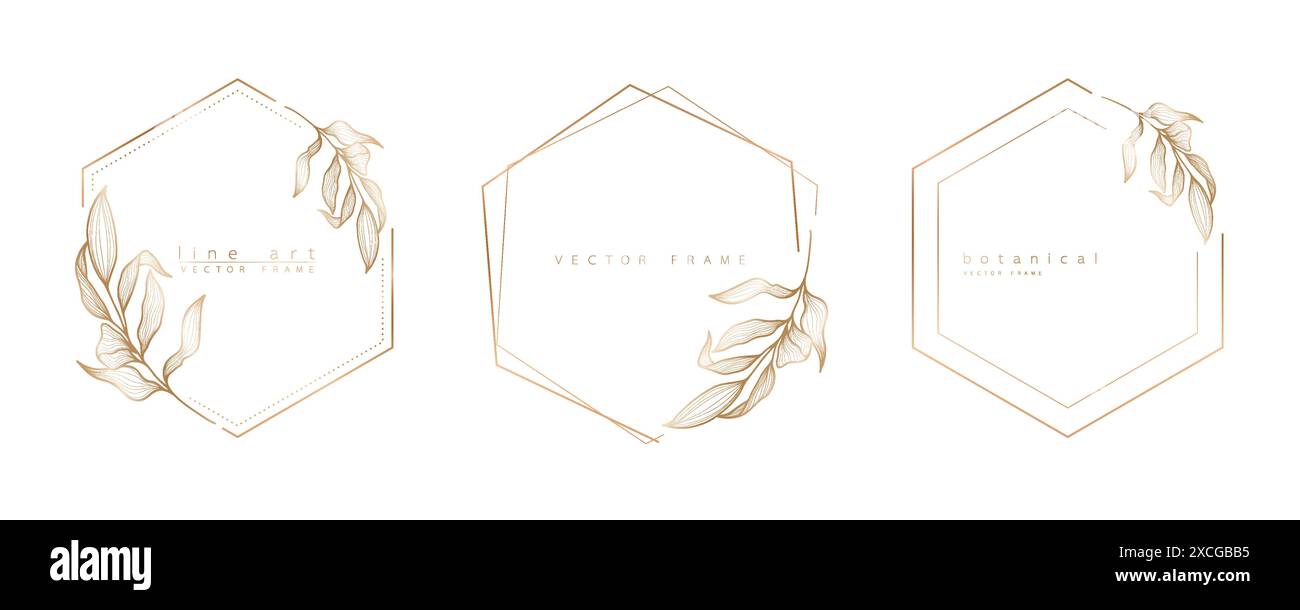 Set of hexagon frame templates in minimal linear style Stock Vector ...