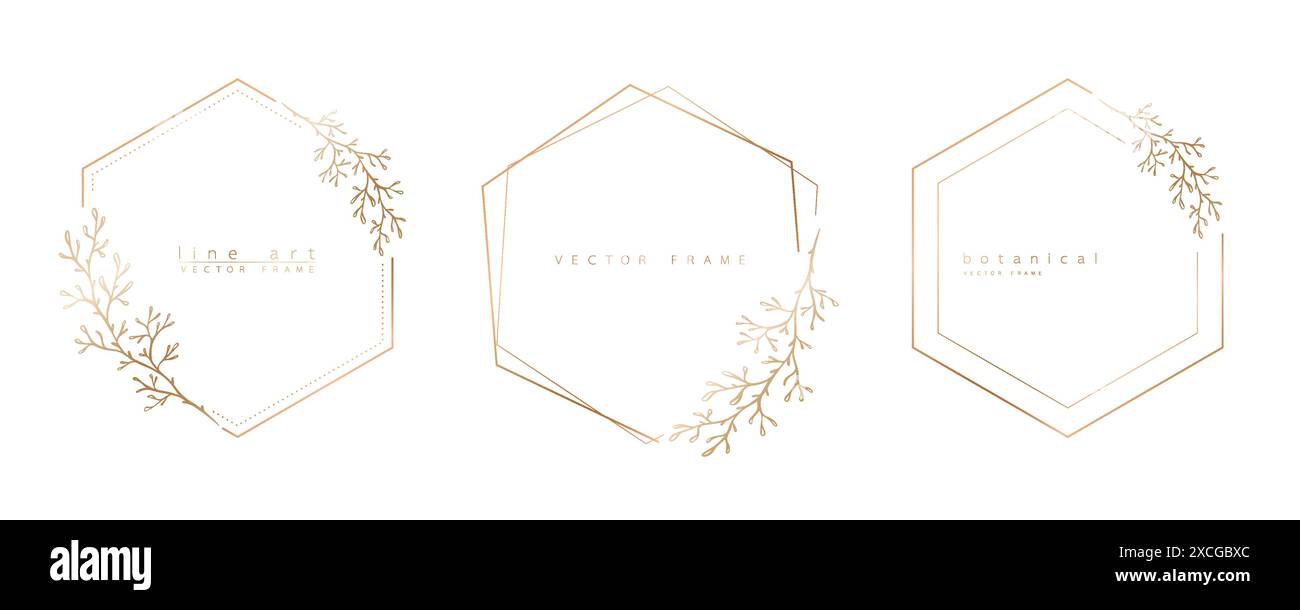 Set of hexagon frame templates in minimal linear style Stock Vector ...