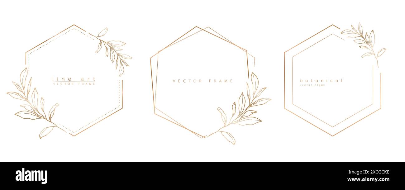 Set of hexagon frame templates in minimal linear style Stock Vector ...