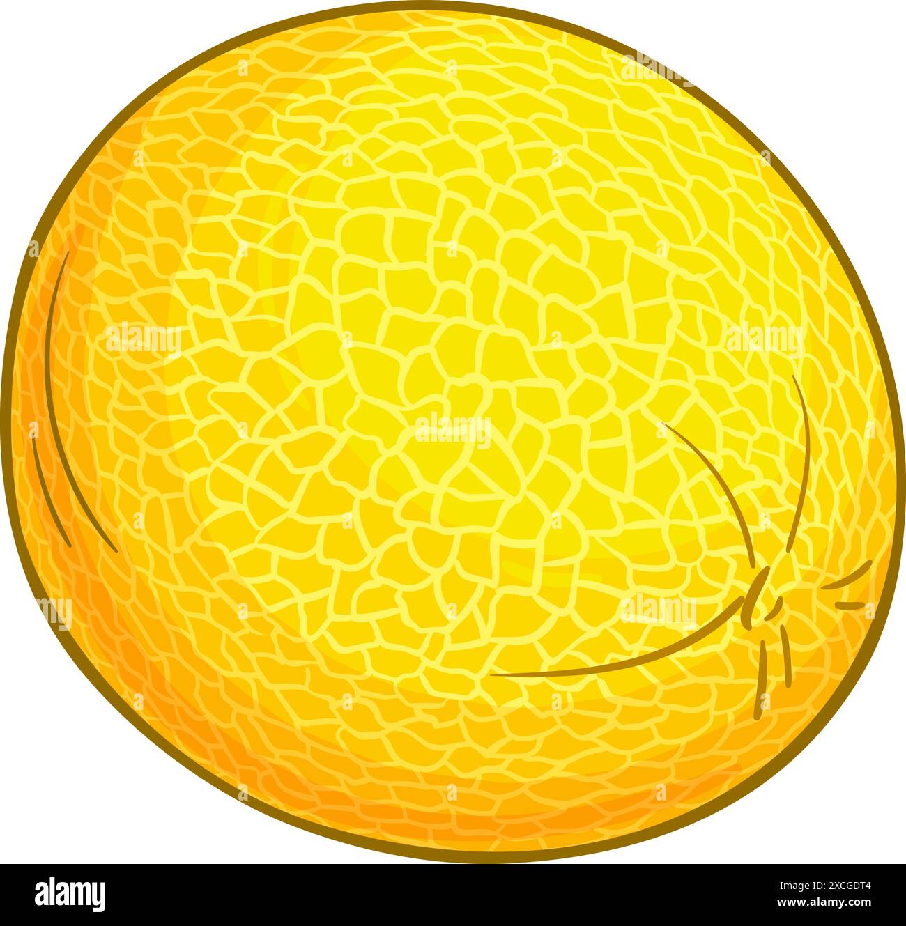 Melon Fruits Colored Detailed Illustration Stock Vector Image & Art - Alamy