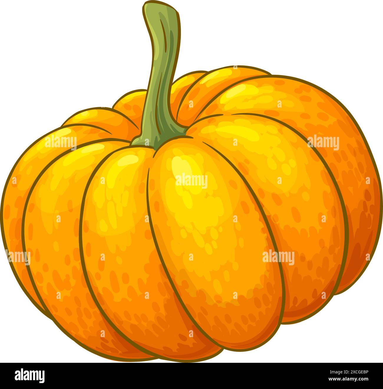 Pumpkin Fruit Colored Detailed Illustration Stock Vector Image & Art ...
