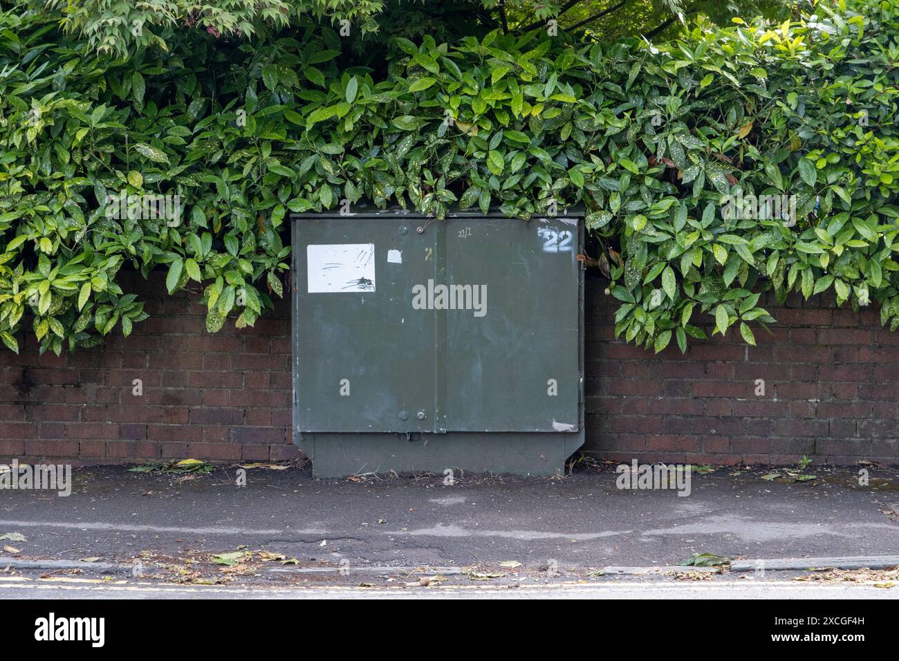 Bt junction box hi-res stock photography and images - Alamy