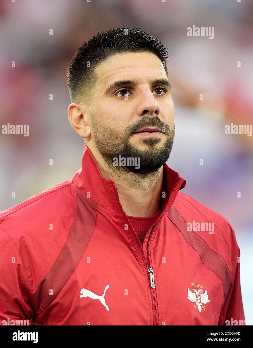 Serbia's Aleksandar Mitrovic before the UEFA Euro 2024 Group C match at ...