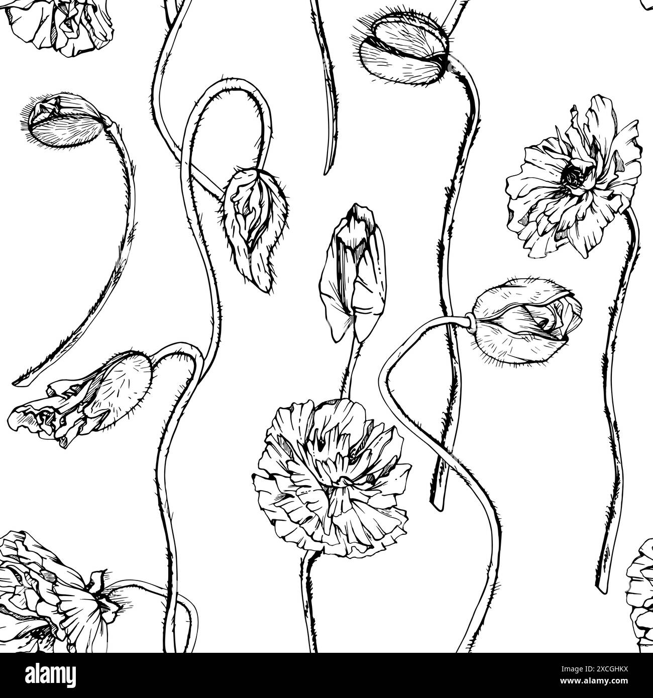 Hand Drawn Vector Graphic Botanical Illustration Flowers Leaves Red
