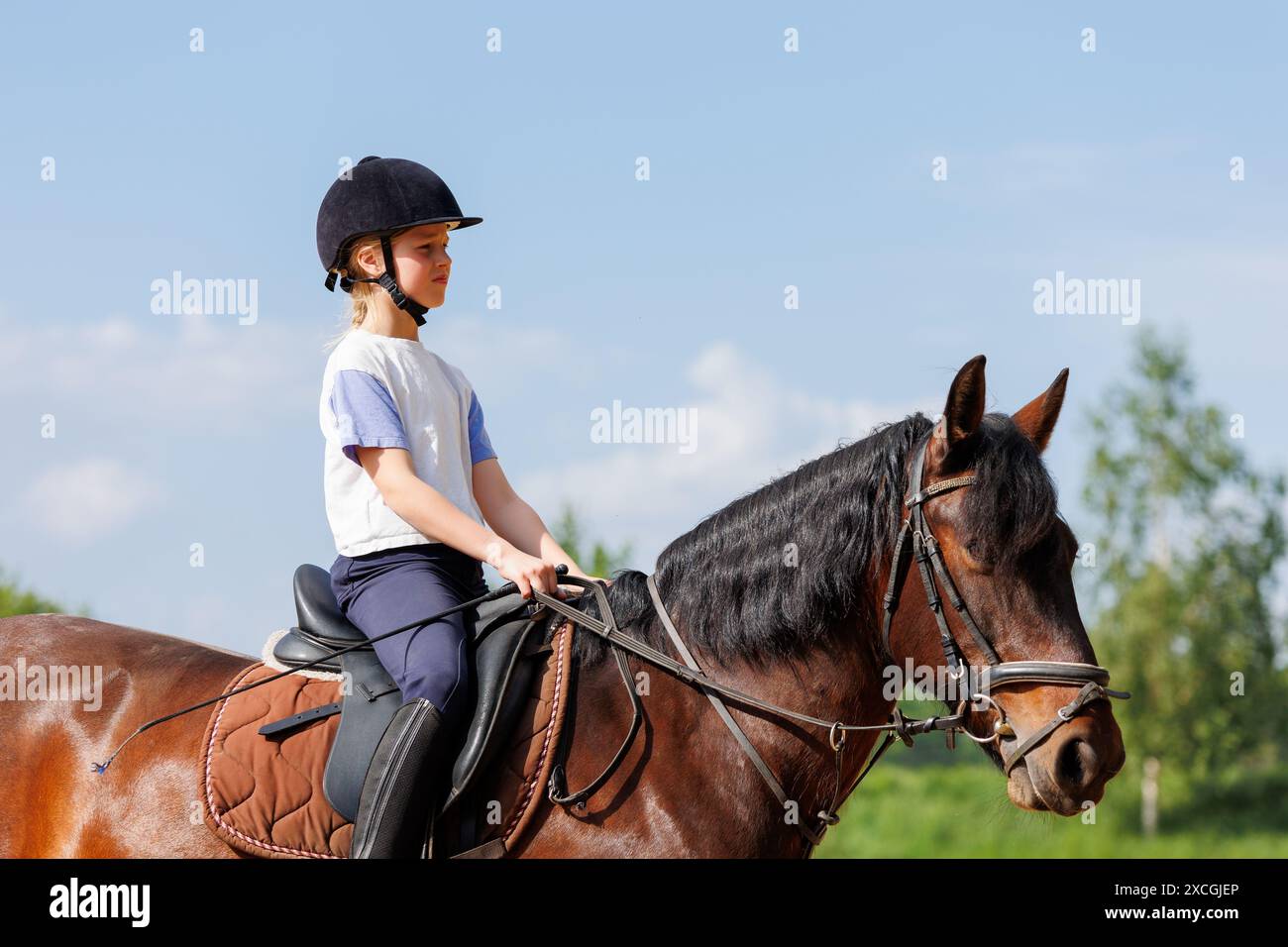 Horse riding school. Little children girls at group training equestrian ...