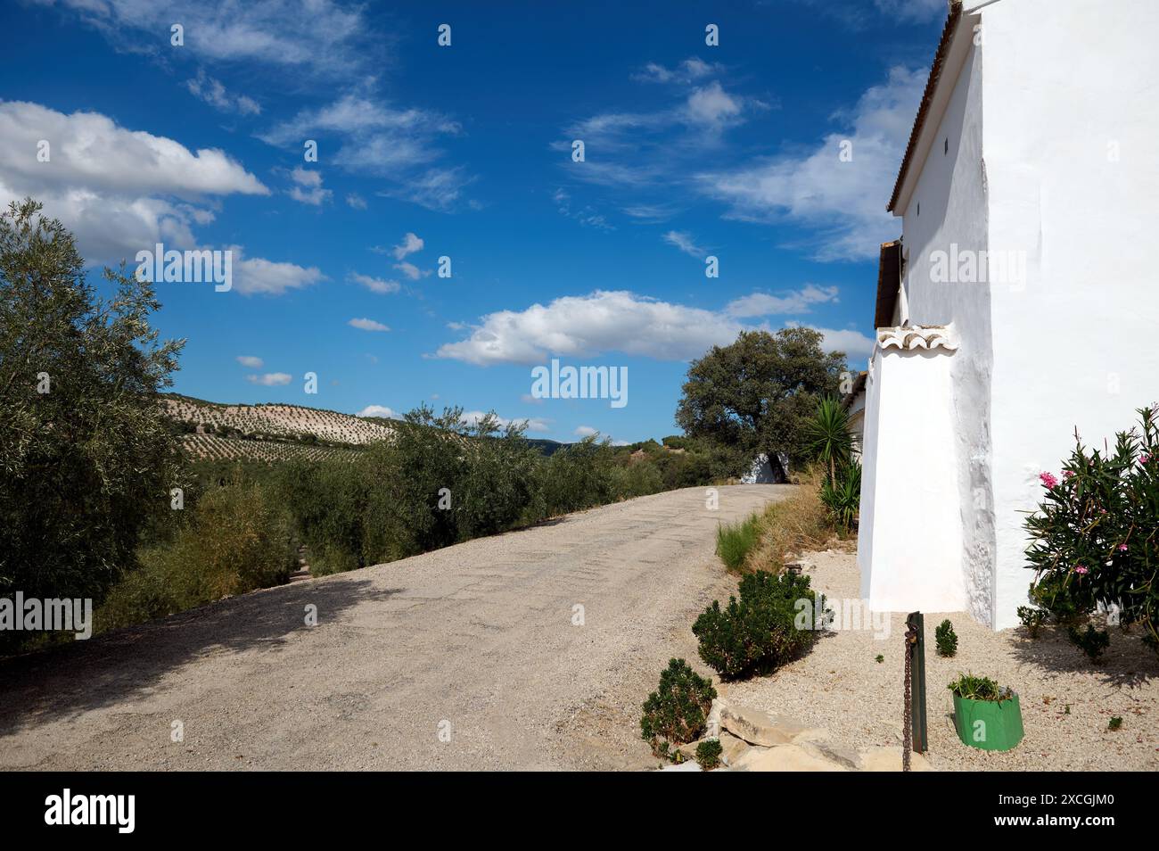 Beautiful rural scene featuring a white house, winding gravel path ...