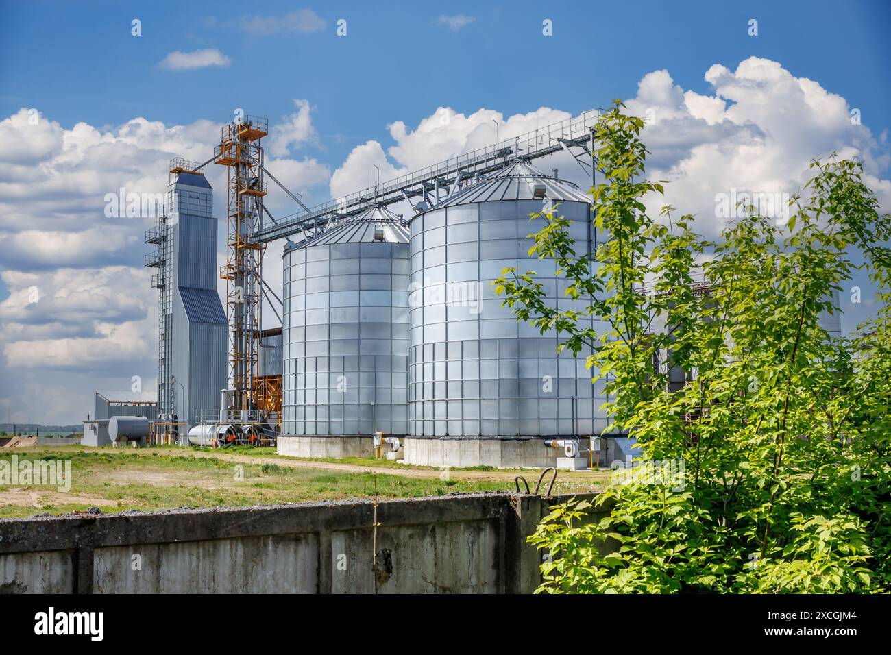 silos on agro-industrial complex with seed cleaning and drying line for ...