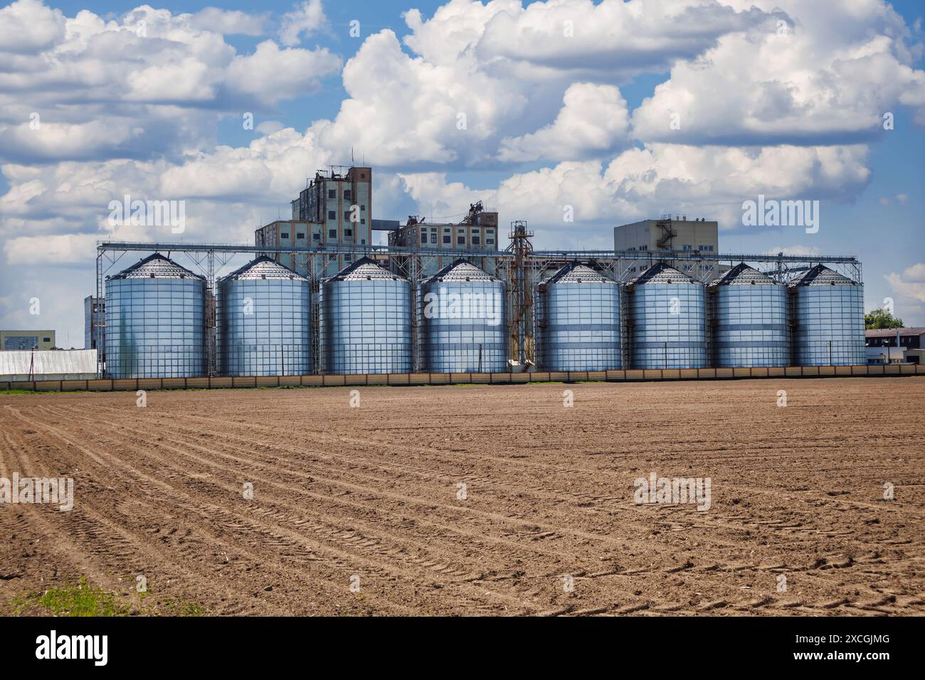 silos on agro-industrial complex with seed cleaning and drying line for ...