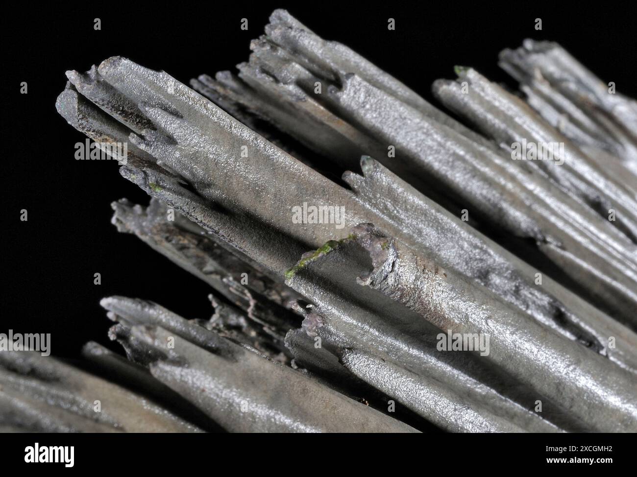 Underground bacteria hi-res stock photography and images - Alamy