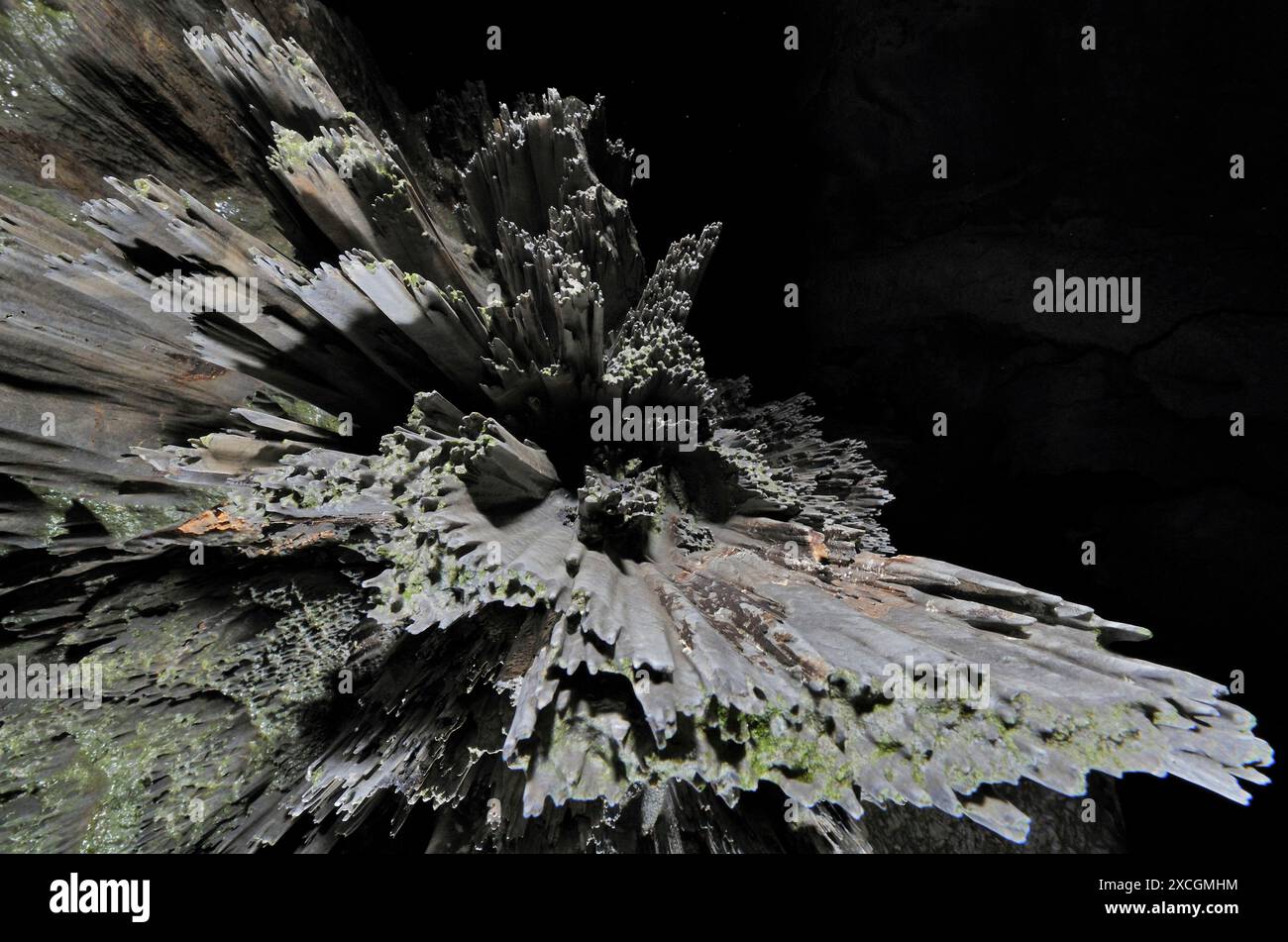 Underground bacteria hi-res stock photography and images - Alamy