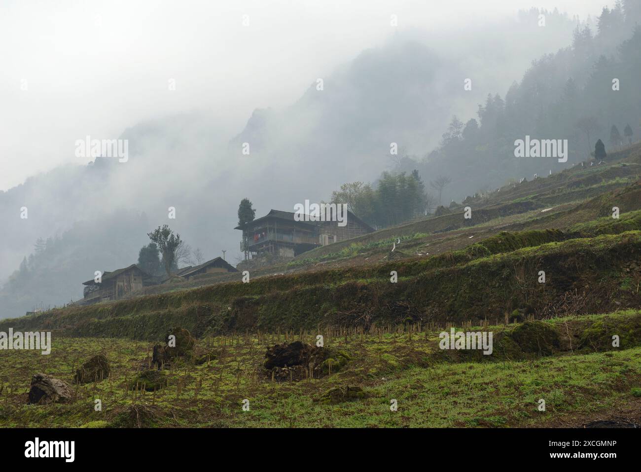 Caving Expedition to explore the caves of the Tongzi mastersystem in ...