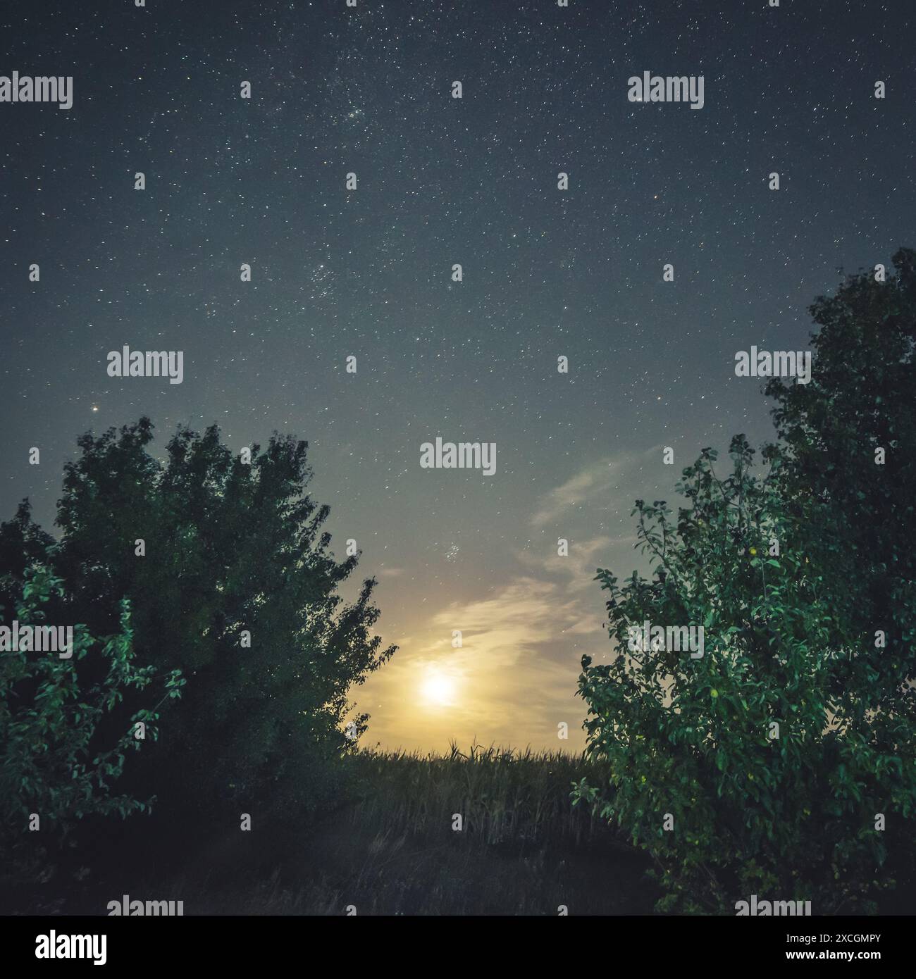 Moon glade hi-res stock photography and images - Alamy
