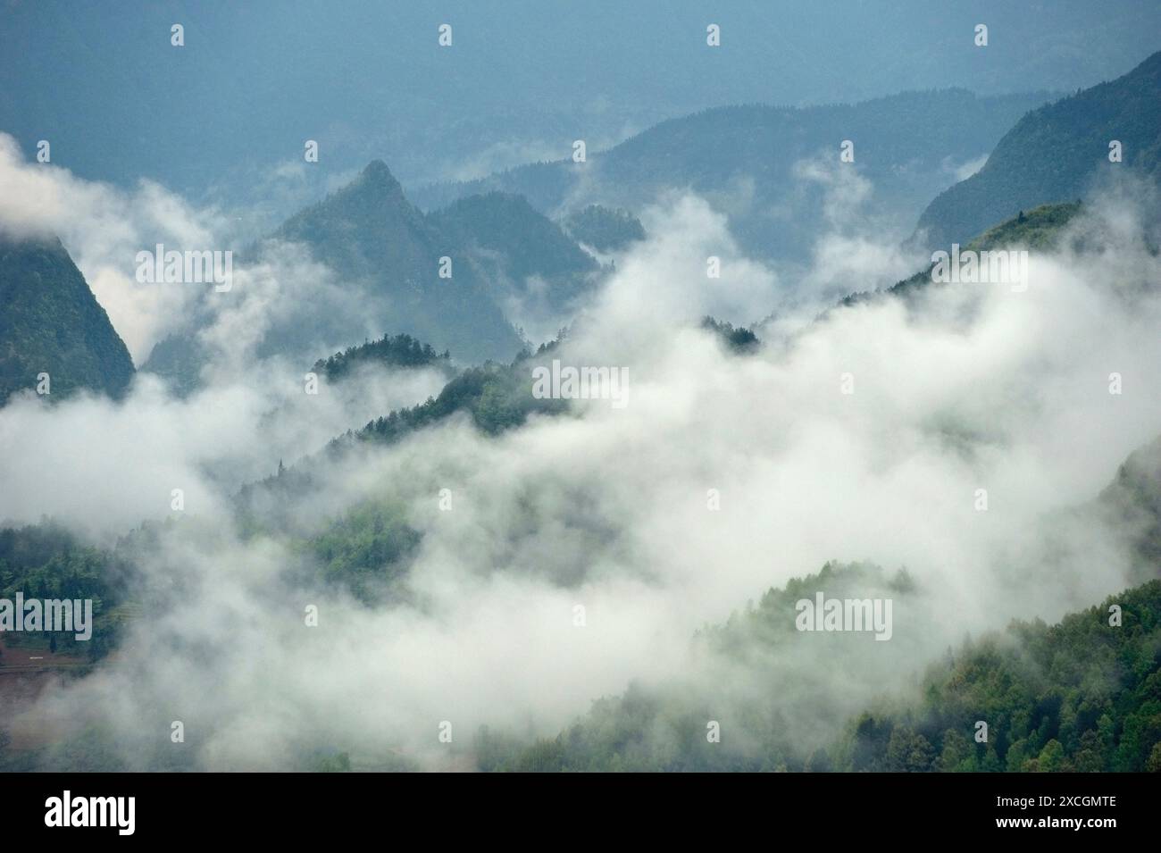 Caving Expedition to explore the caves of the Tongzi mastersystem in ...