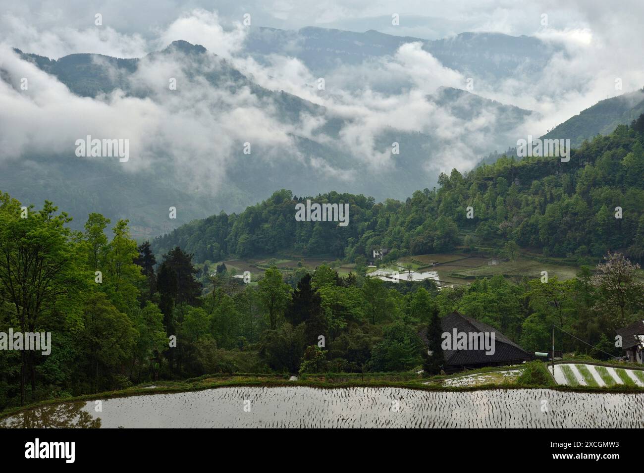 Caving Expedition to explore the caves of the Tongzi mastersystem in ...