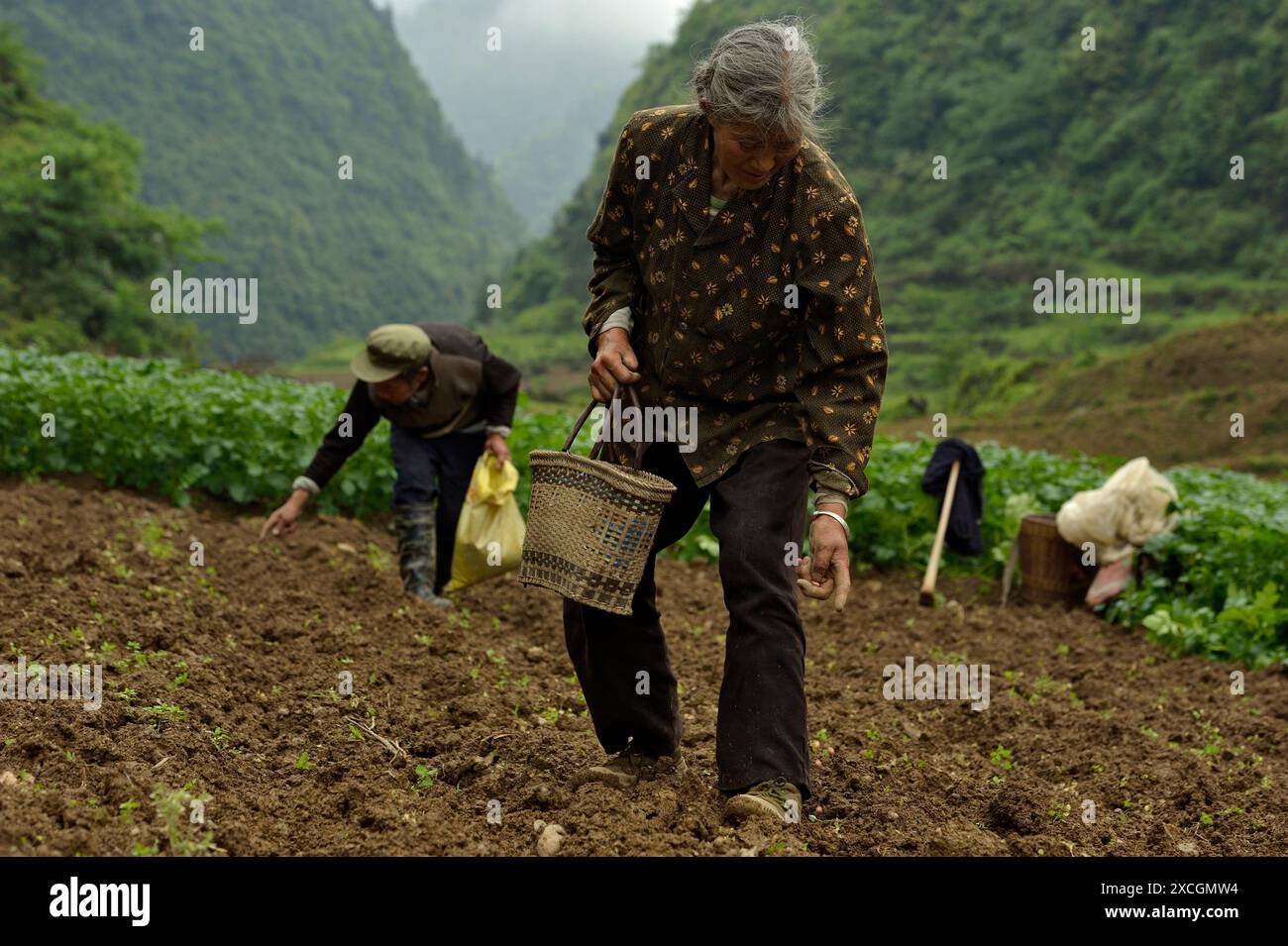 Caving Expedition to explore the caves of the Tongzi mastersystem in ...