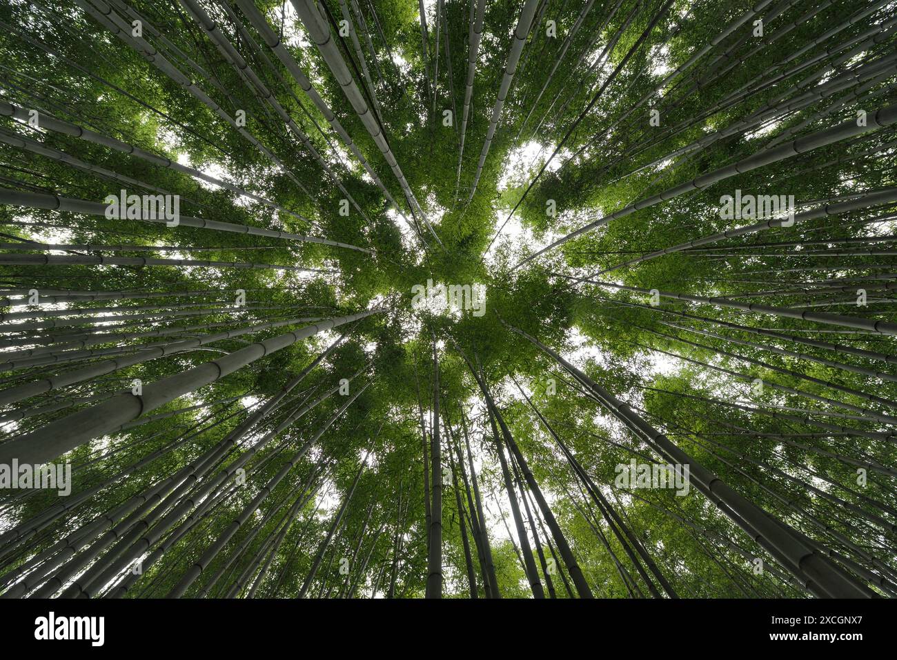 Caving Expedition to explore the caves of the Tongzi mastersystem in ...