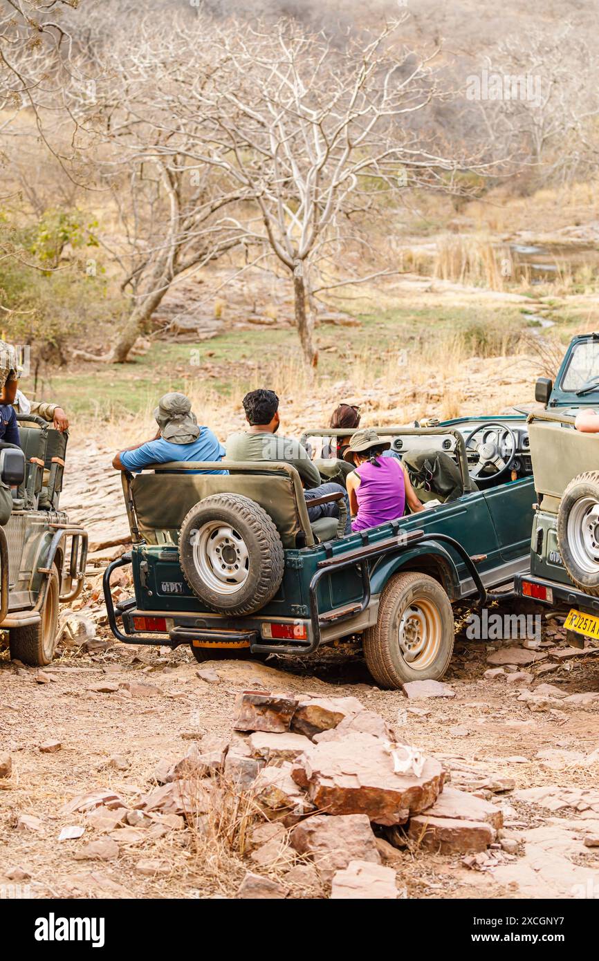 Crowded Gypsy type safari vehicles with wildlife sightseers hoping for ...