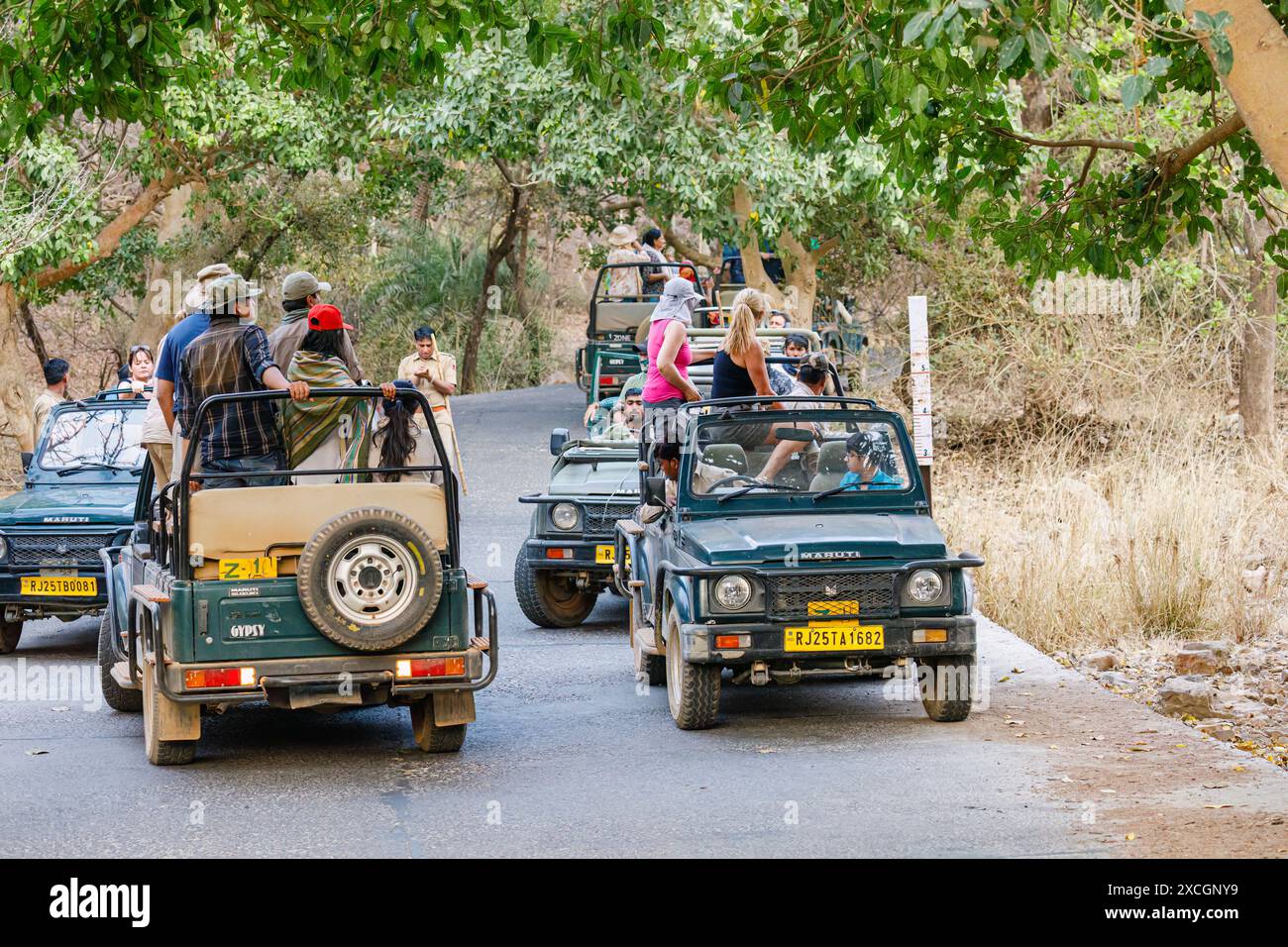 Crowded Gypsy type safari vehicles with wildlife sightseers hoping for ...