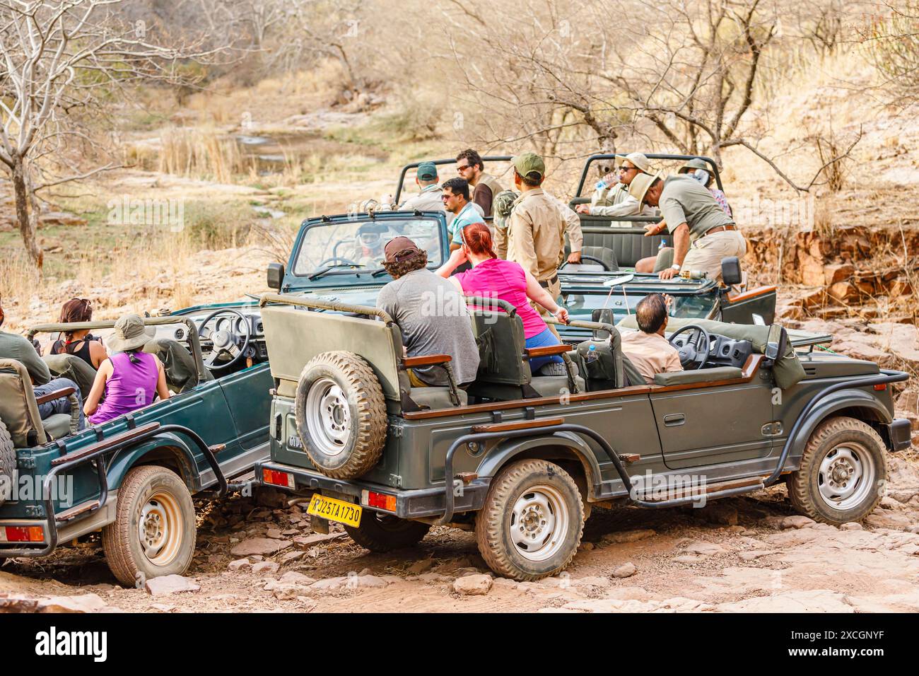 Crowded Gypsy type safari vehicles with wildlife sightseers hoping for ...