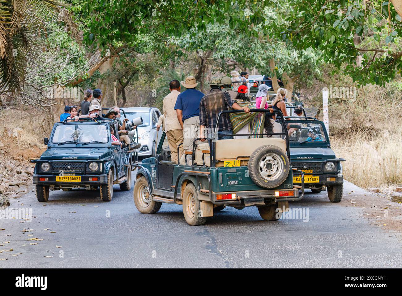 Crowded Gypsy type safari vehicles with wildlife sightseers hoping for ...