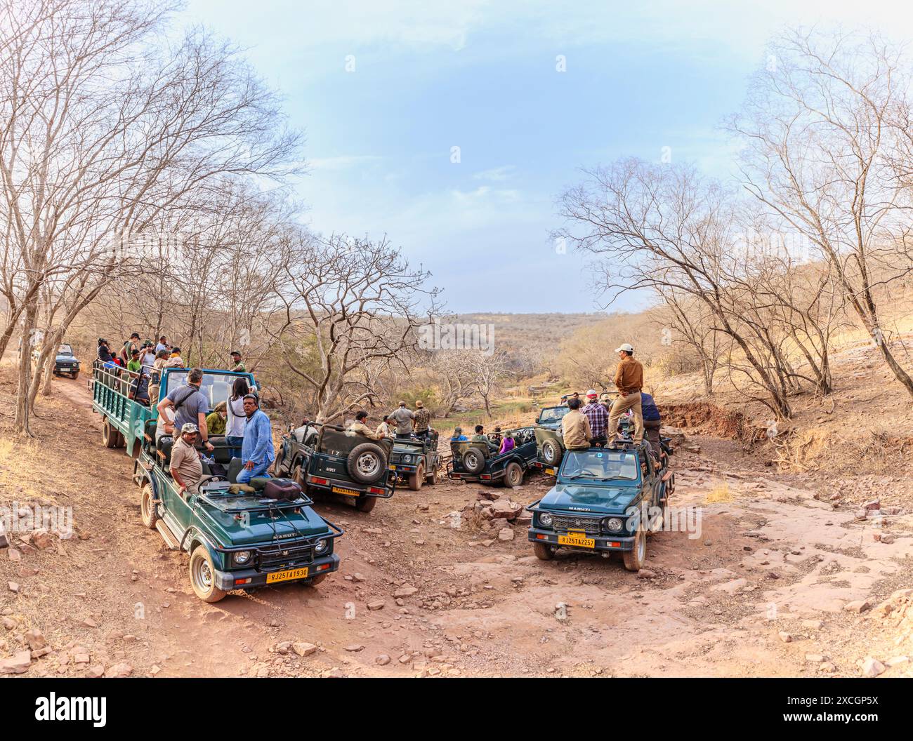 Crowded Gypsy type safari vehicles with wildlife sightseers hoping for ...
