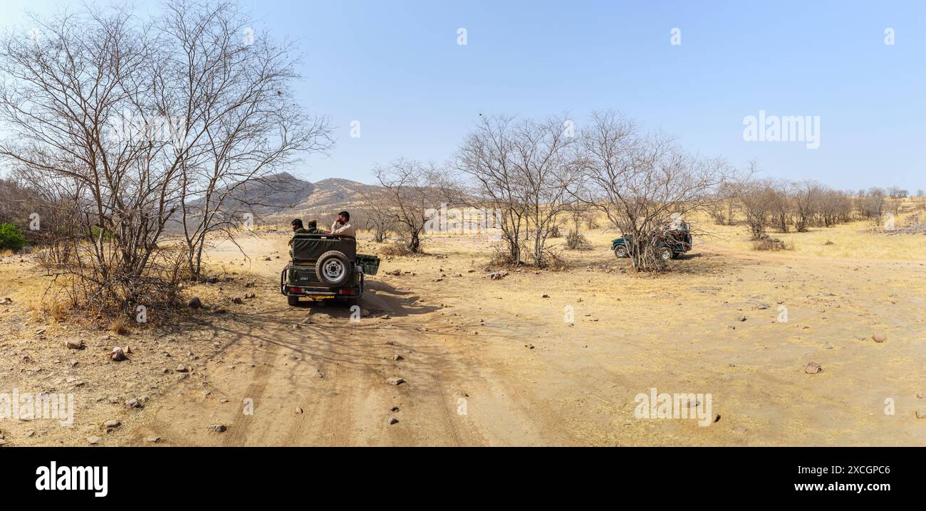 Gypsy type safari vehicles with wildlife sightseers waiting for a tiger ...