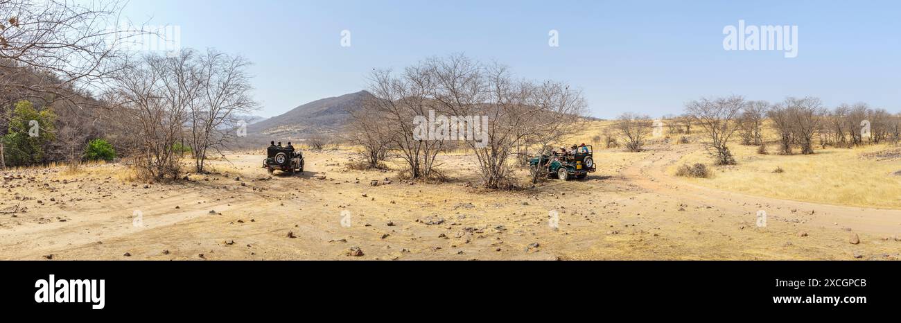 Gypsy type safari vehicles with wildlife sightseers waiting for a tiger ...