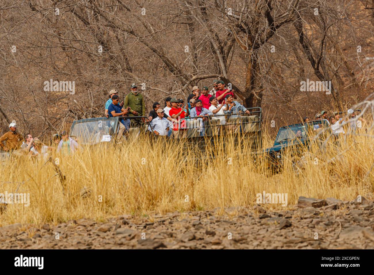 Visitors wait for a sighting from a 20 seater canter safari vehicle ...