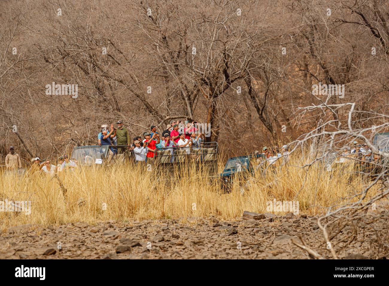 Visitors wait for a sighting from a 20 seater canter safari vehicle ...