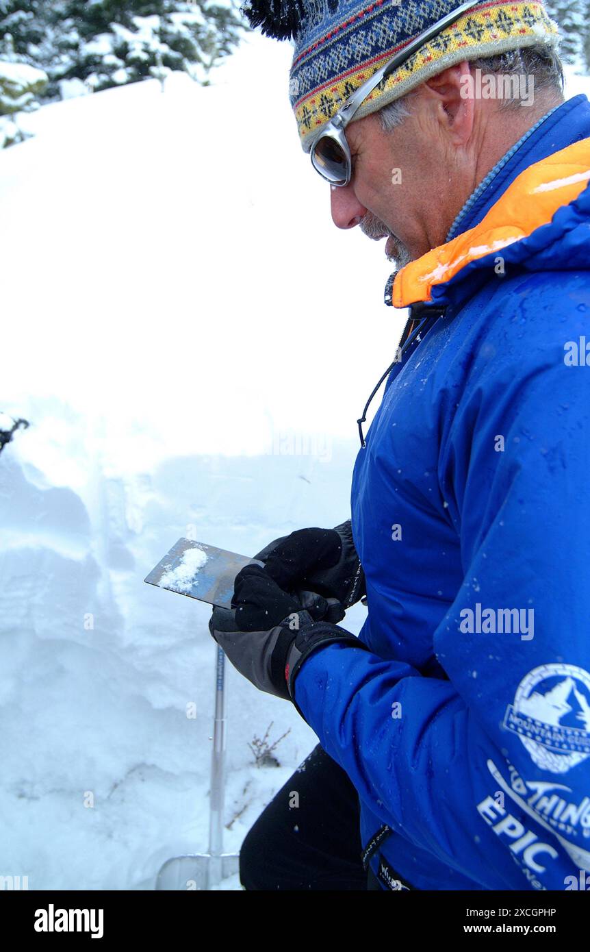 An avalanche expert cuts out layers of snow to determine the current ...