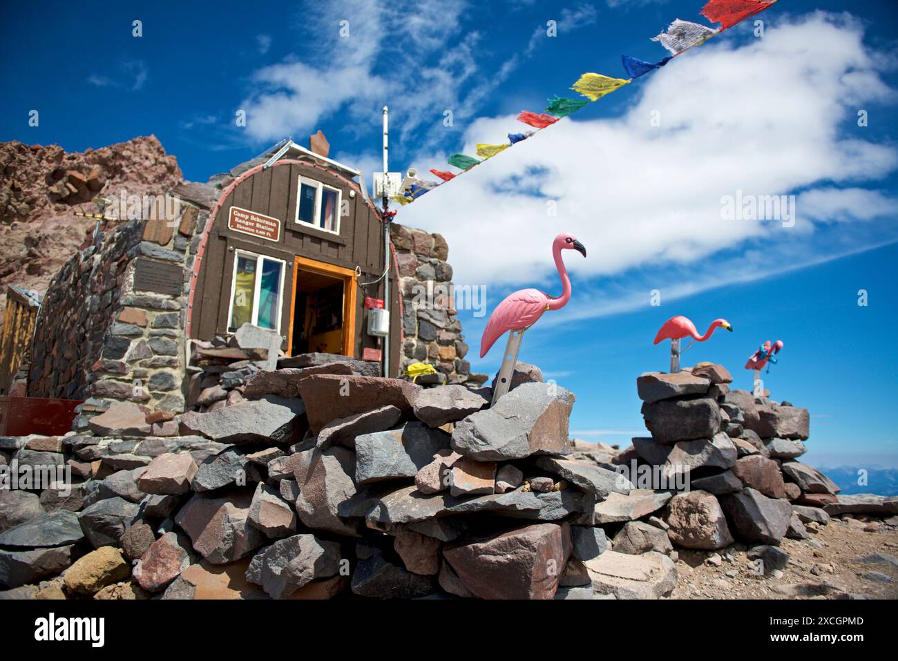 Pink flamingos and Buddhist prayer flags by climbing ranger at Camp ...