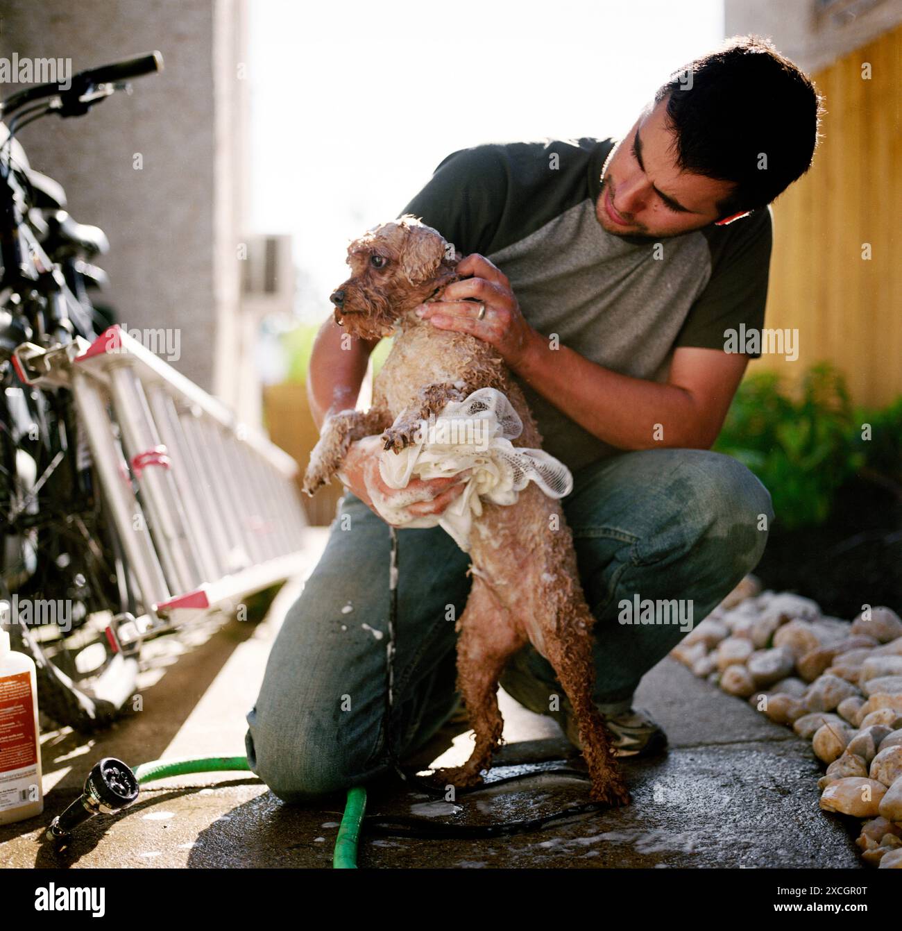 A young man gives his dog, a toy poodle, a bath in his backyard in ...