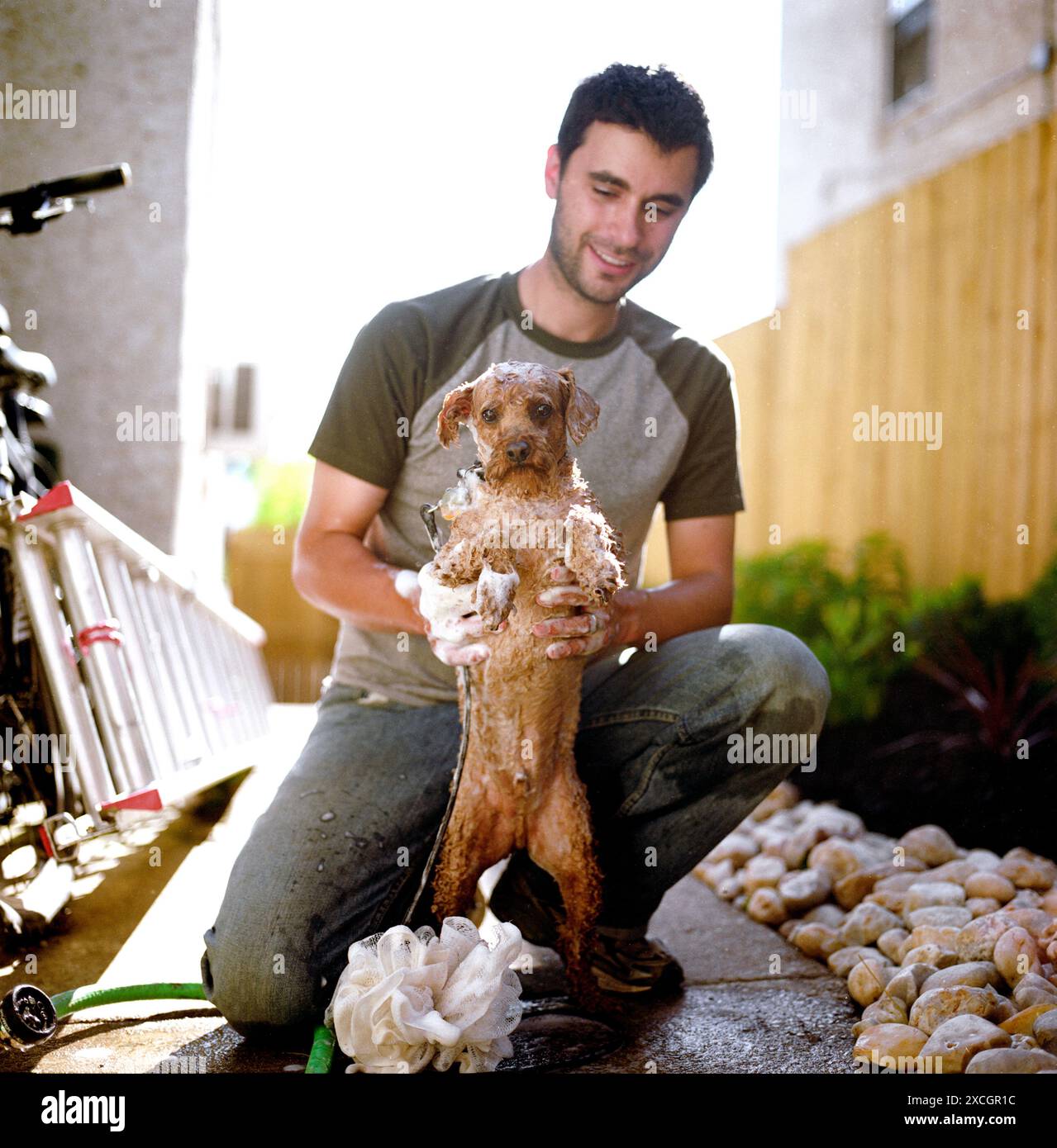 A young man gives his dog, a toy poodle, a bath in his backyard in ...