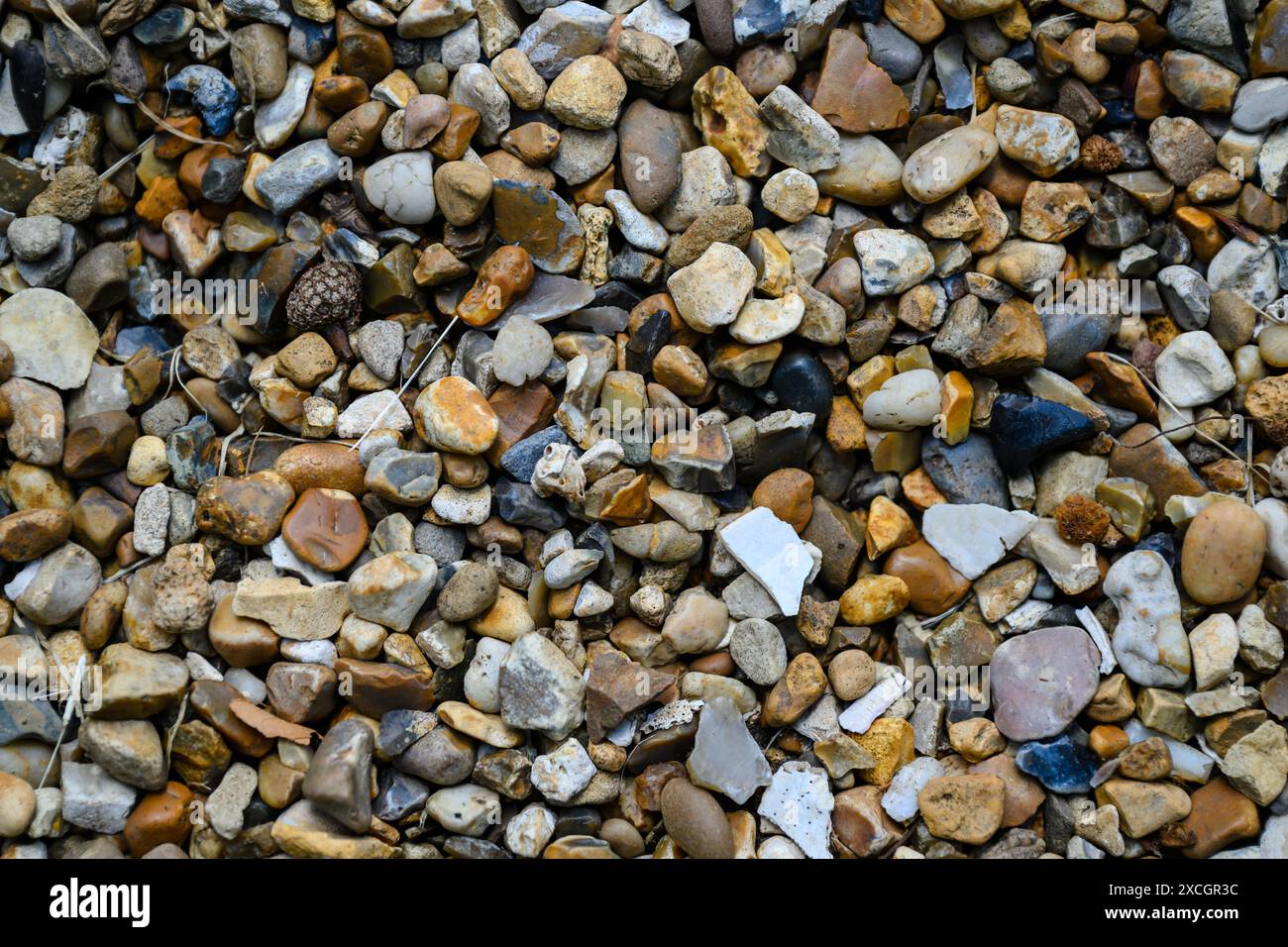Cobble bed hi-res stock photography and images - Alamy
