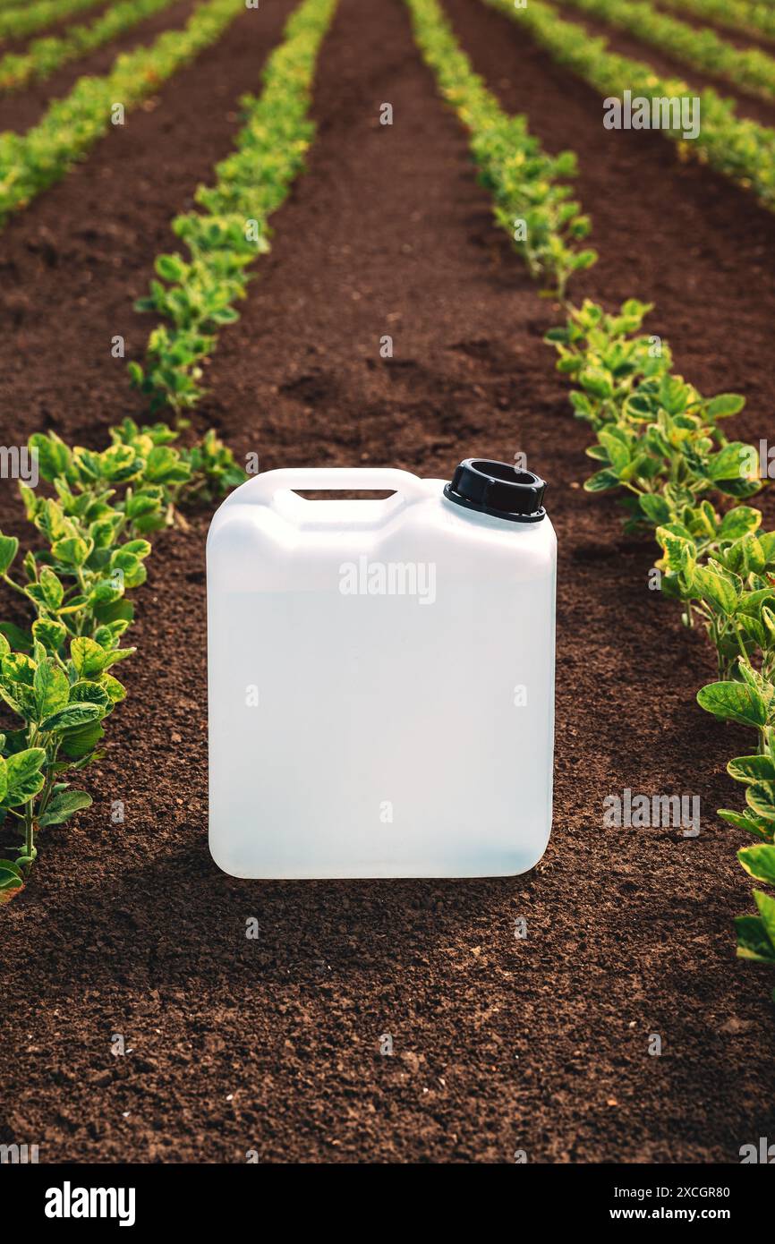 Vertical shot of perfectly clean soybean plantation field after ...