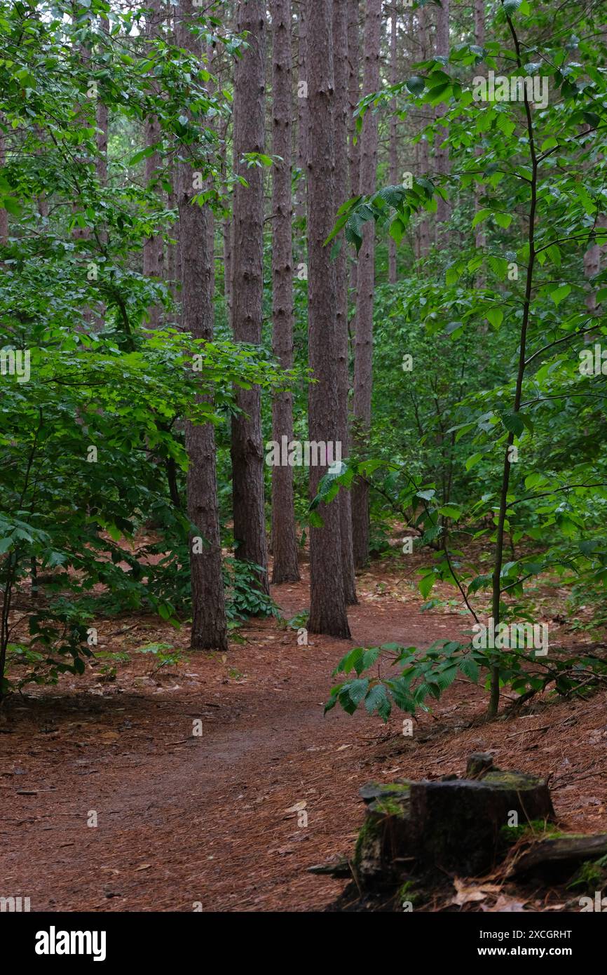Michigan trail hi-res stock photography and images - Alamy