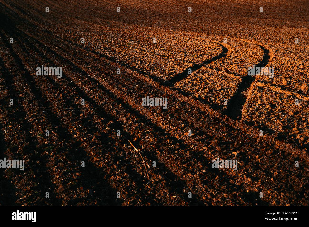 Agricultural tractor tire tread marks or track imprint in ploughed soil ...