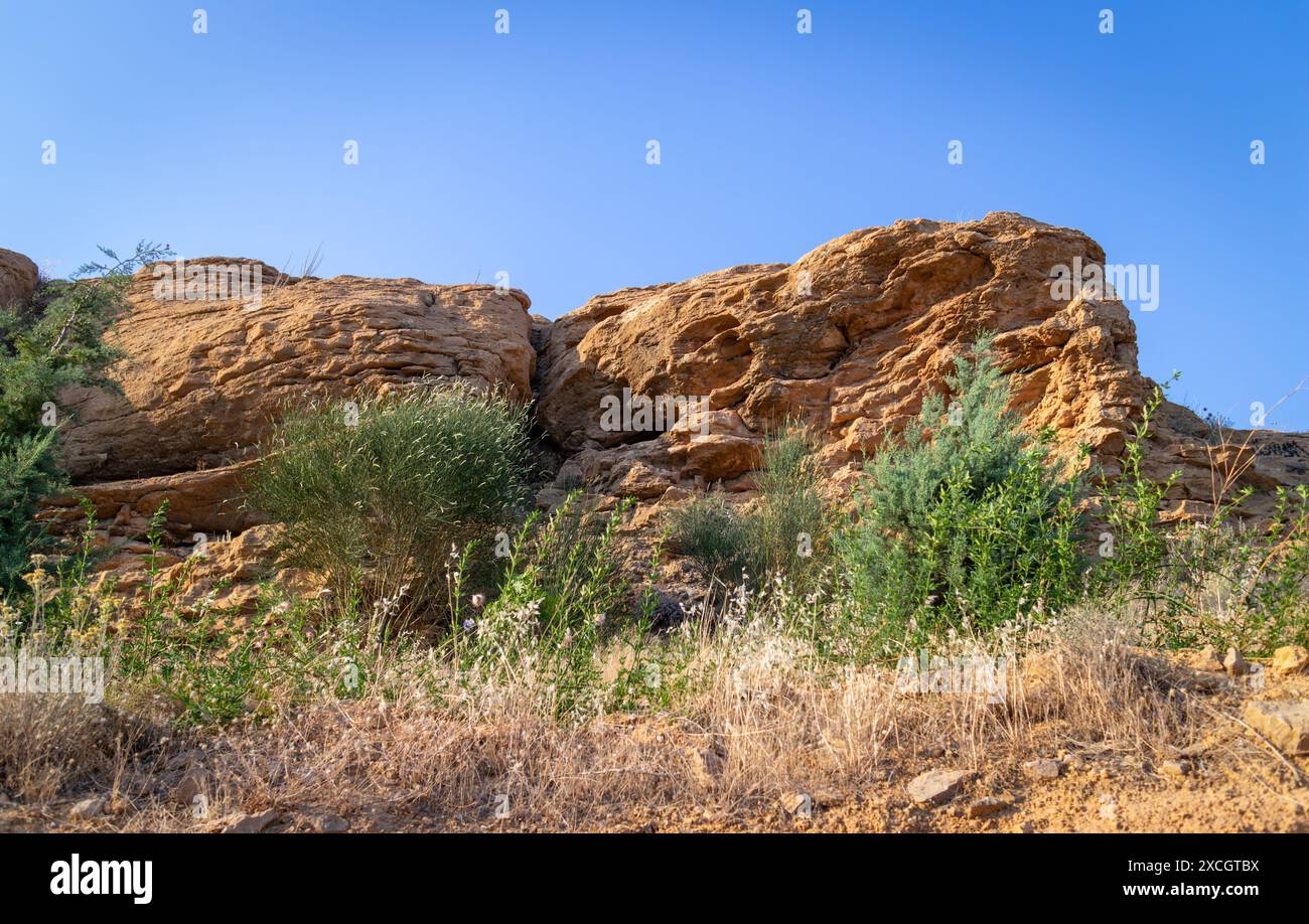 Rocky hills and vegetation hi-res stock photography and images - Alamy